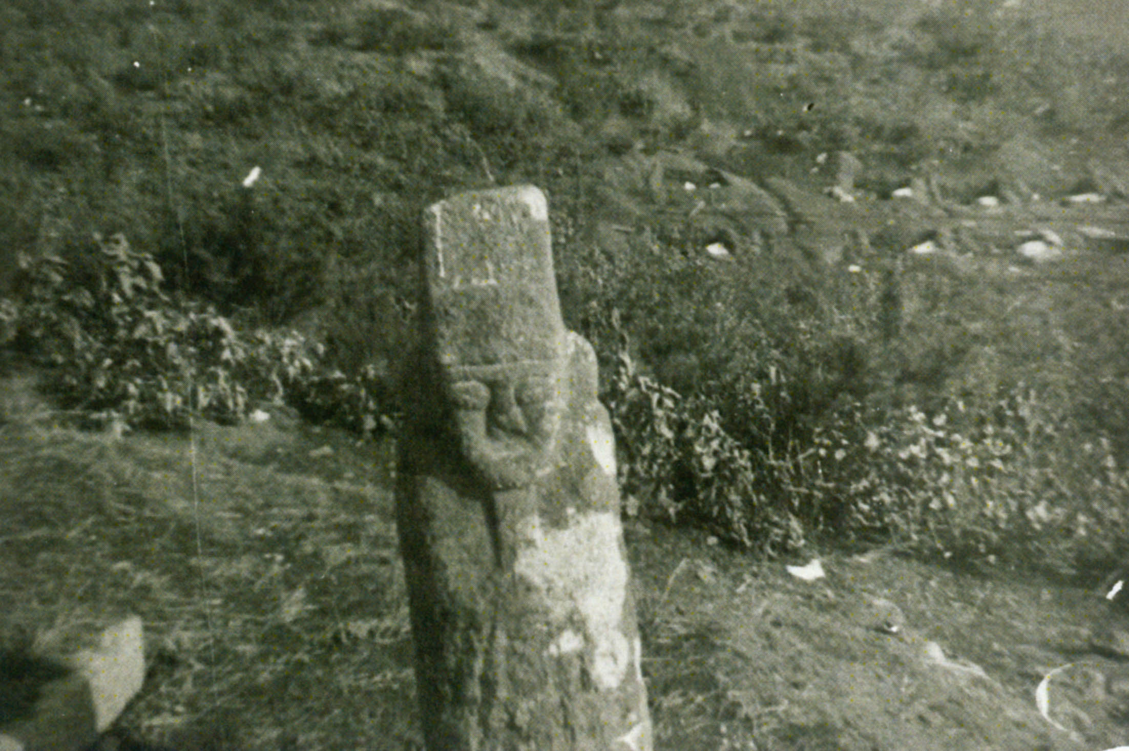 Don Leier (Primary Source) | The Canadian Encyclopedia