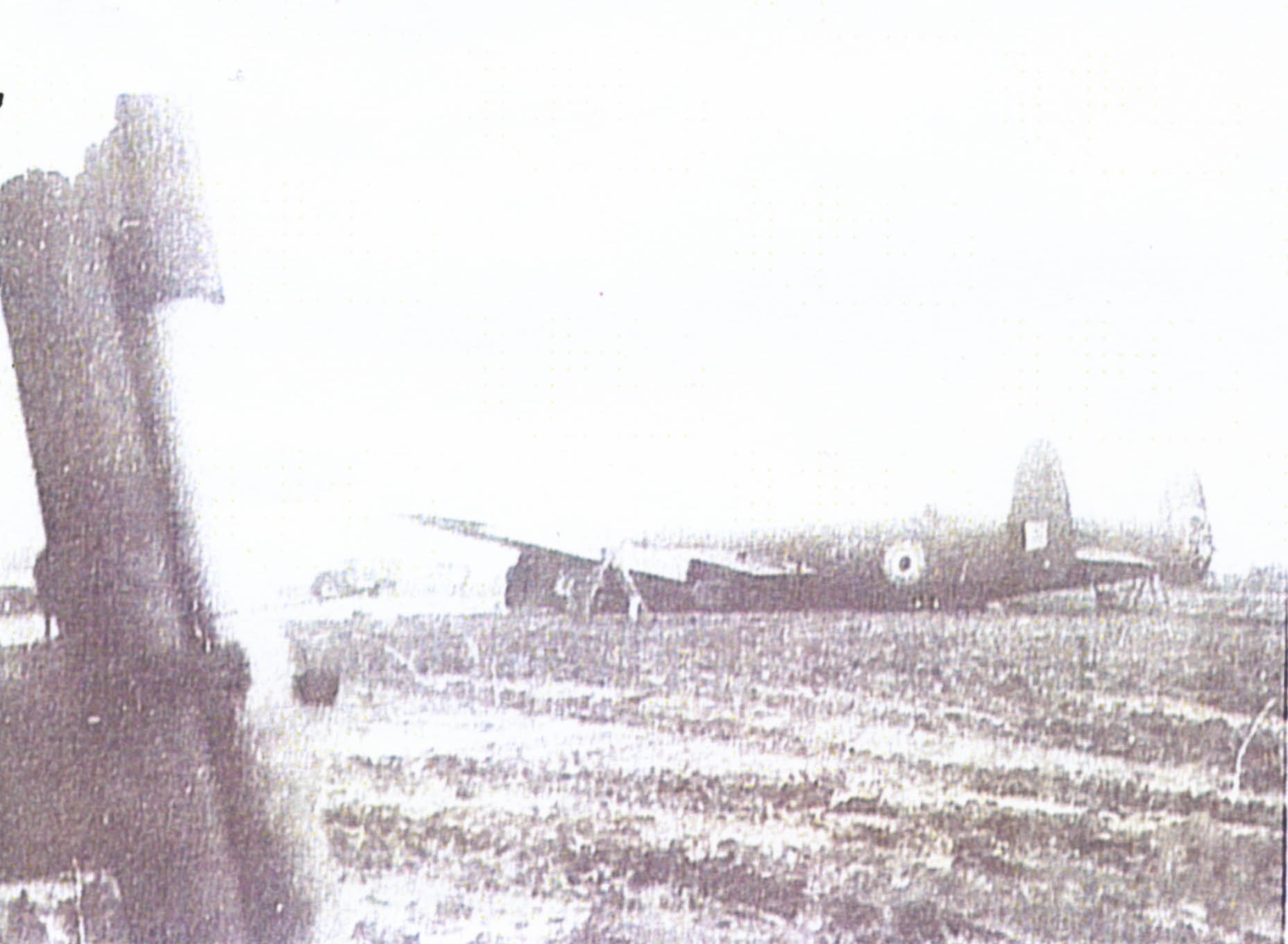 Reg Harrison (Primary Source) | The Canadian Encyclopedia