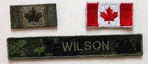 Ian Wilson (Primary Source) | The Canadian Encyclopedia