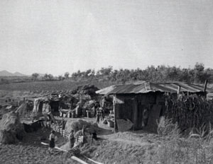 Jean-Louis Blais (Primary Source) | The Canadian Encyclopedia