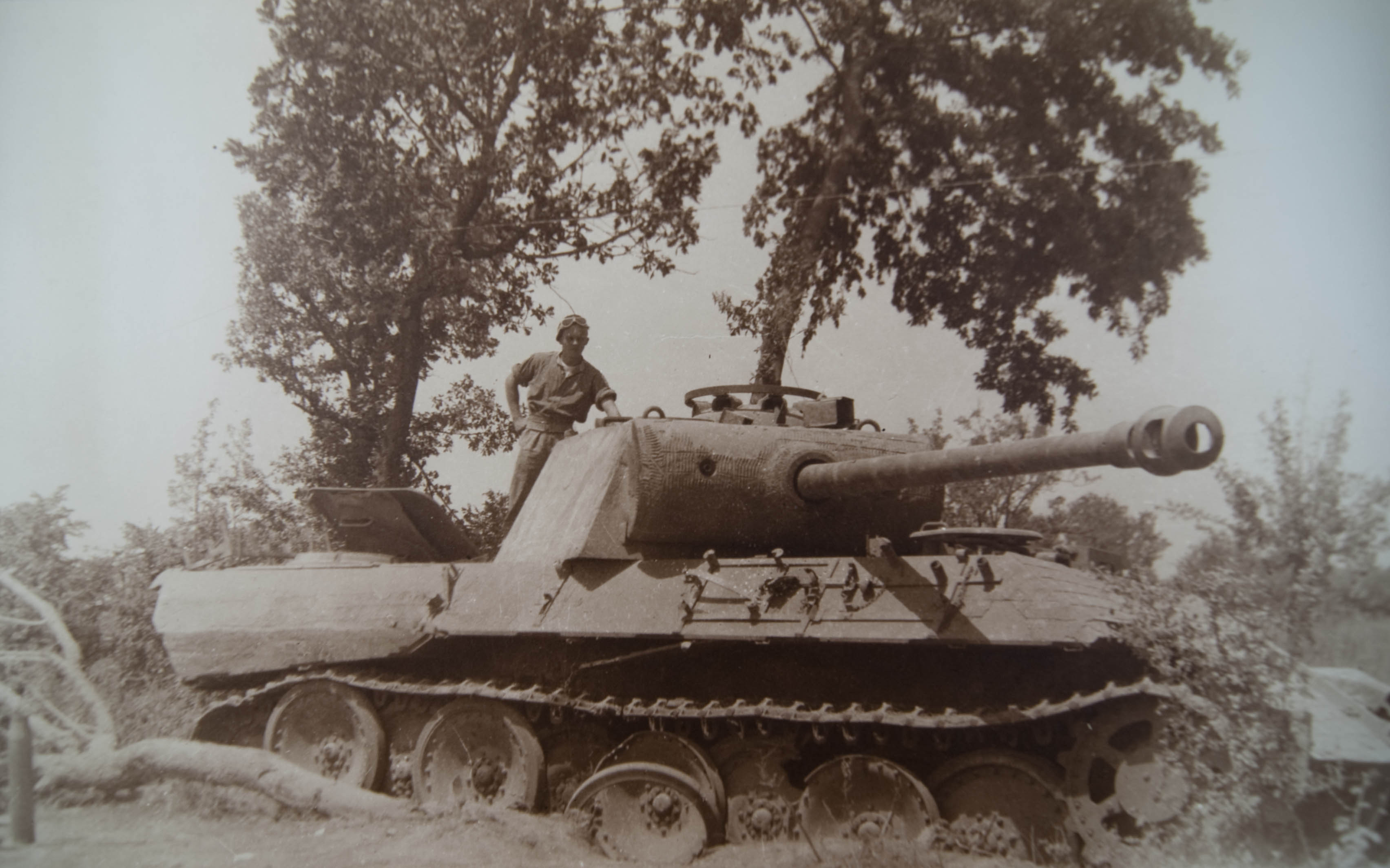 Nigel Taylor | The Canadian Encyclopedia