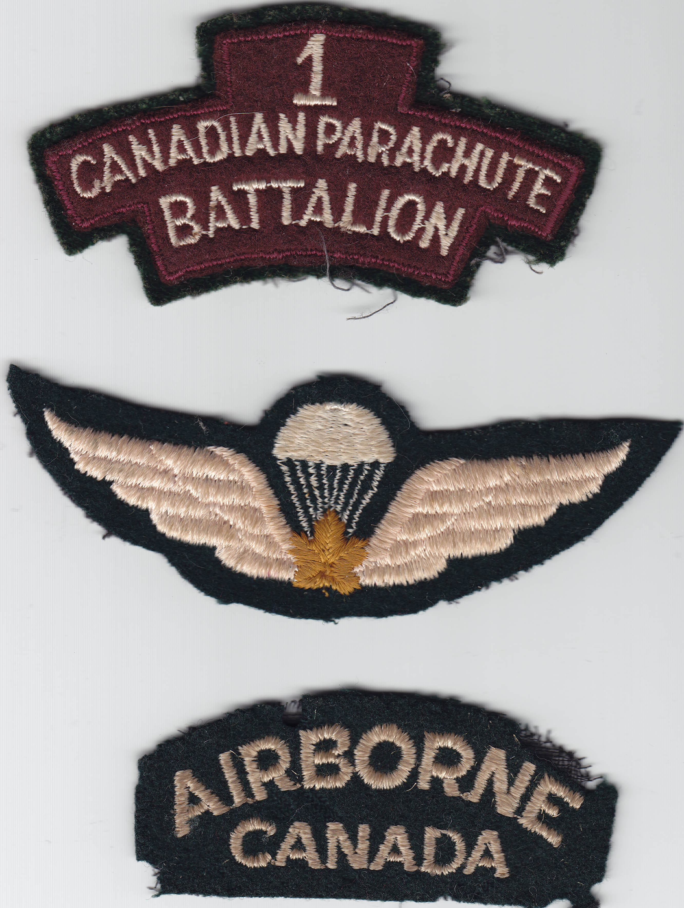 Archie Roy "Roy" Stover (Primary Source) | The Canadian Encyclopedia