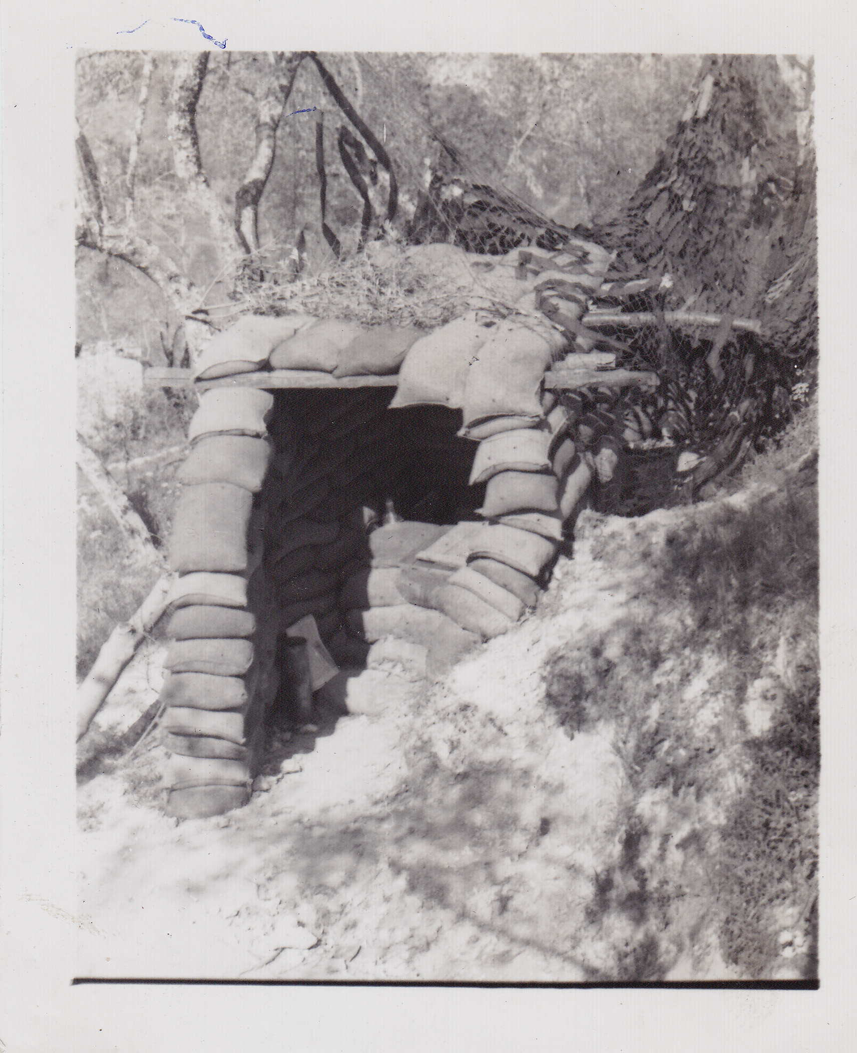 Bernard J. Finestone (Primary Source) | The Canadian Encyclopedia