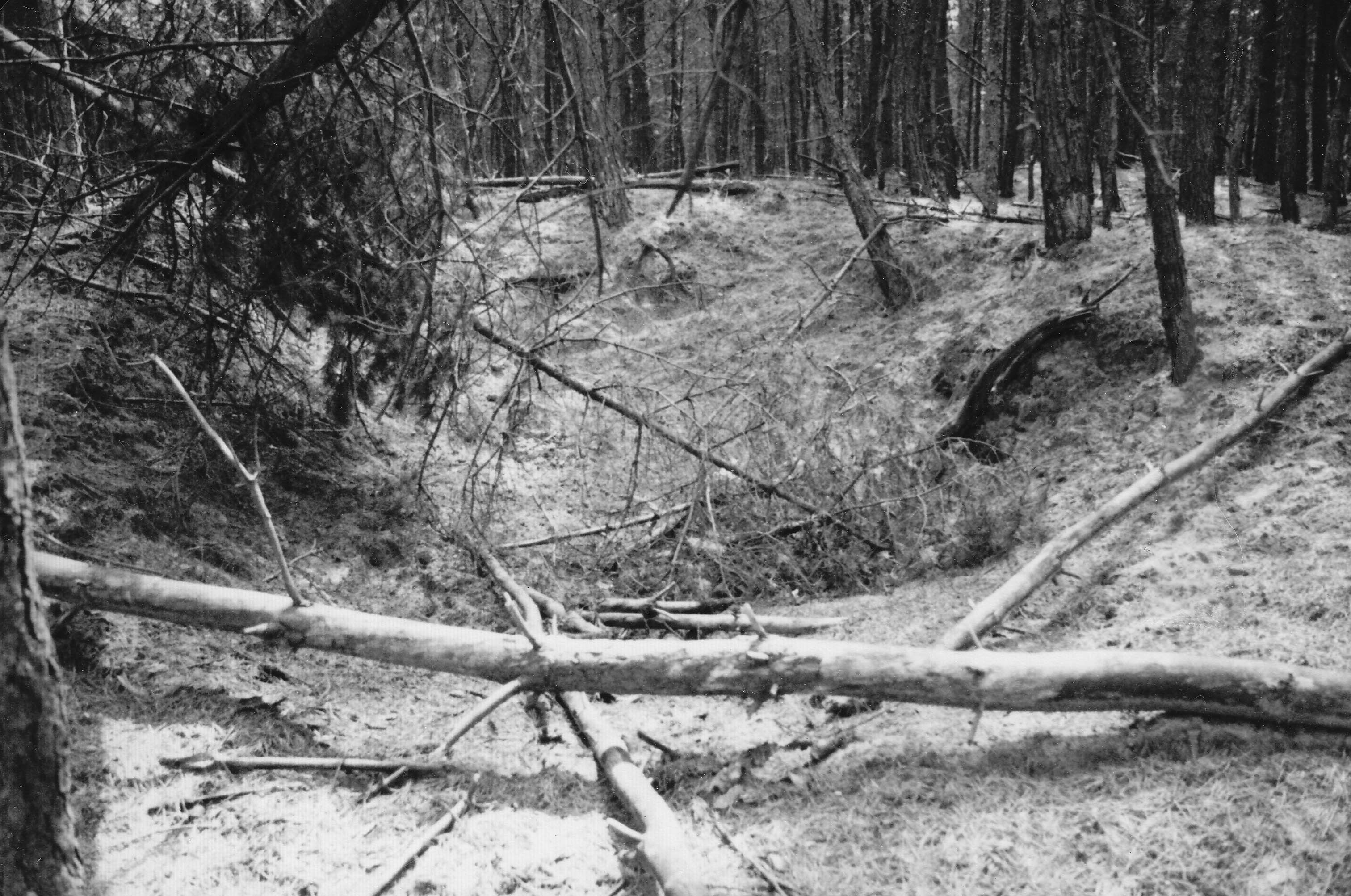 Arthur Paul Anderson (Primary Source) | The Canadian Encyclopedia