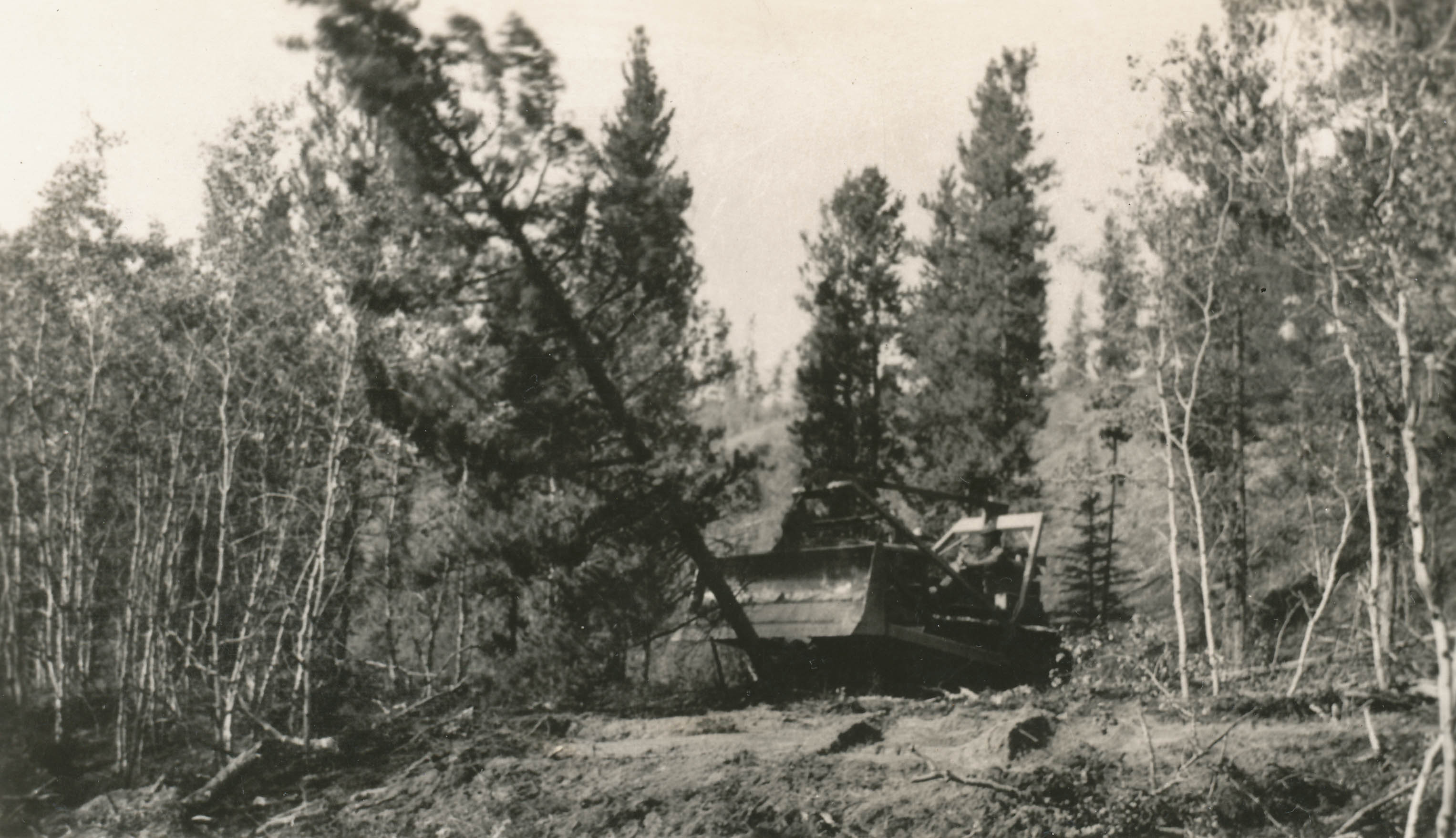 Charles Alexander "Charlie" MacLean | The Canadian Encyclopedia