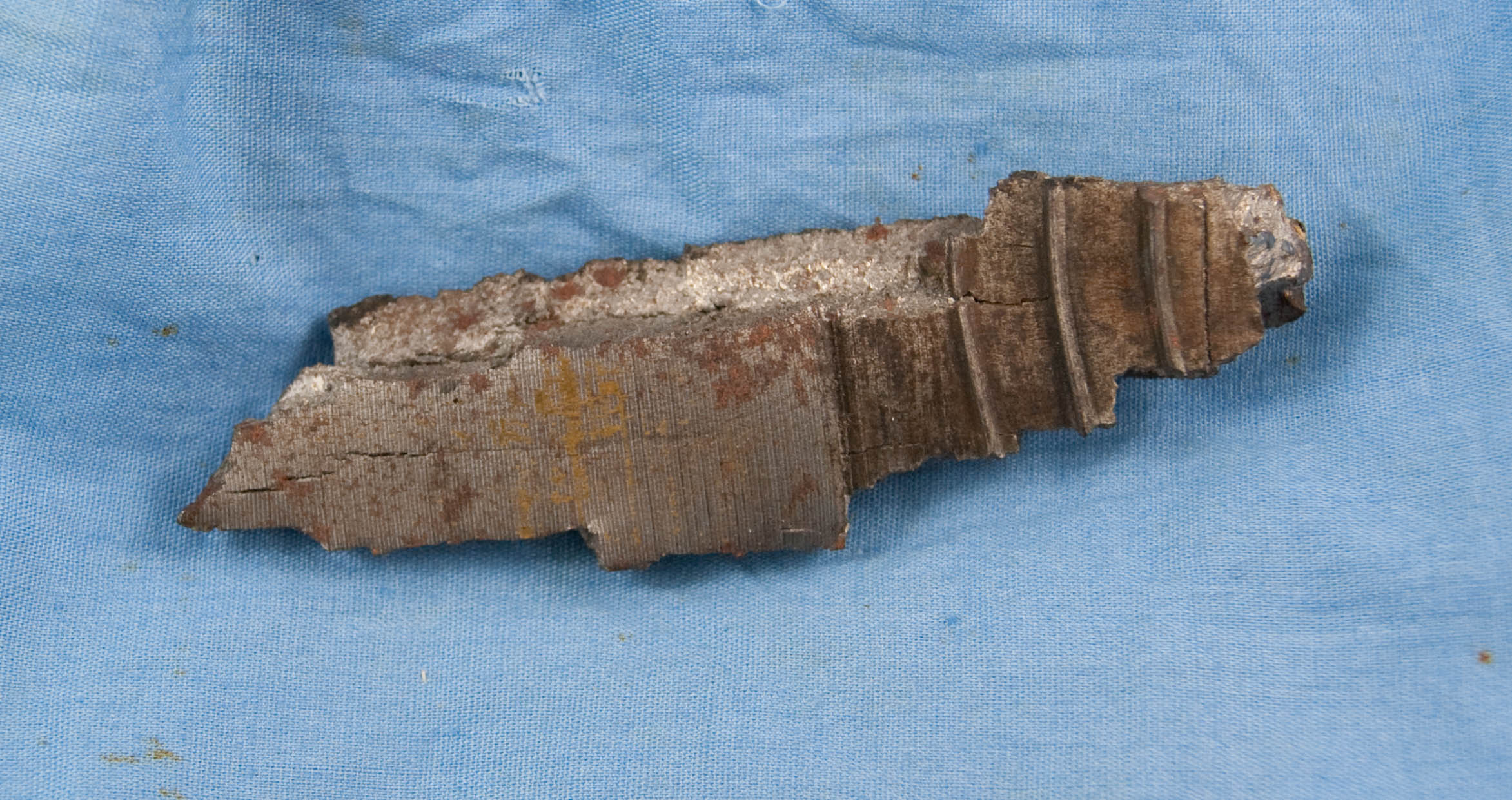 Alfred Cassidy (Primary Source) | The Canadian Encyclopedia