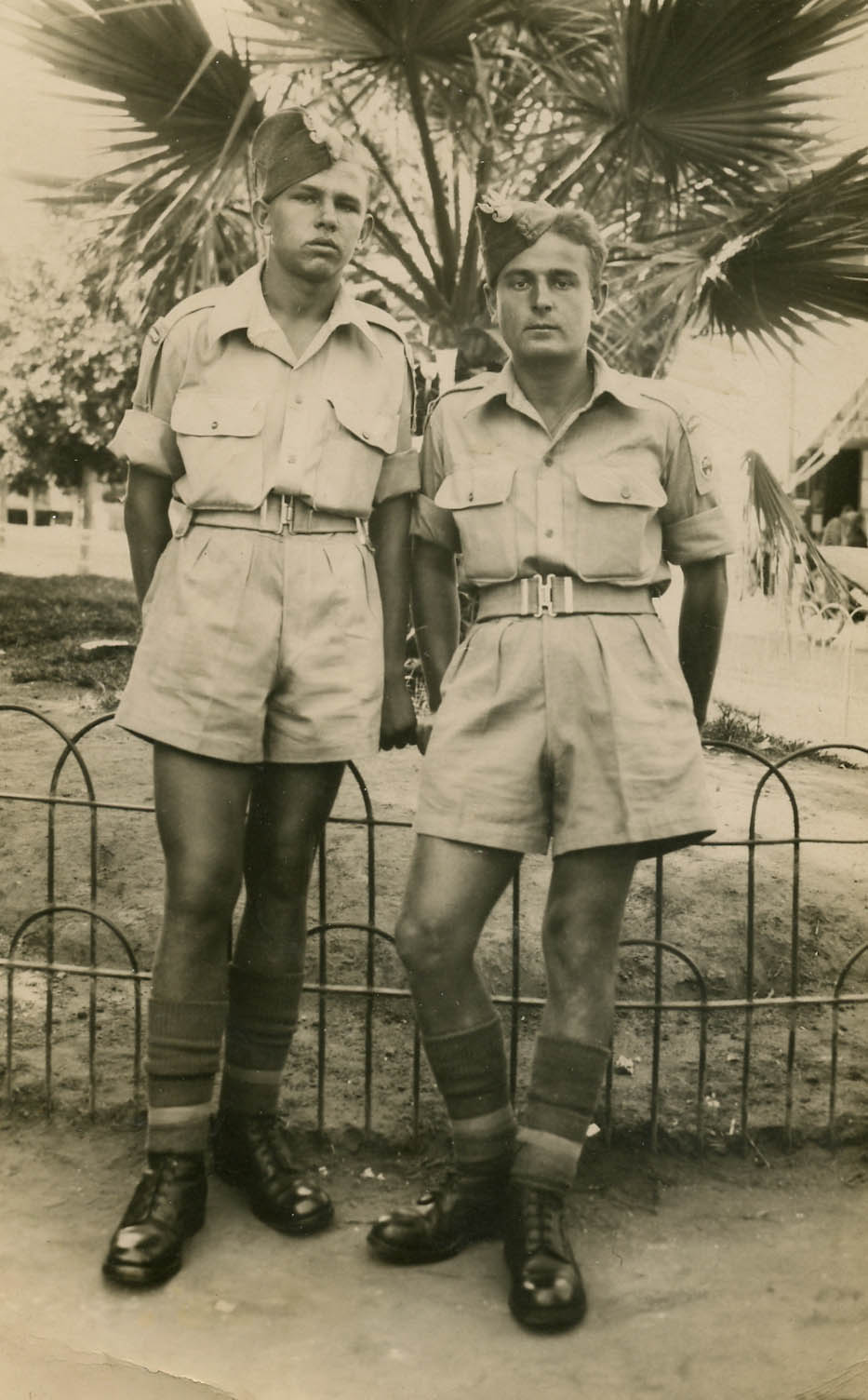 Tadeusz "Ted" Telega (Primary Source) | The Canadian Encyclopedia