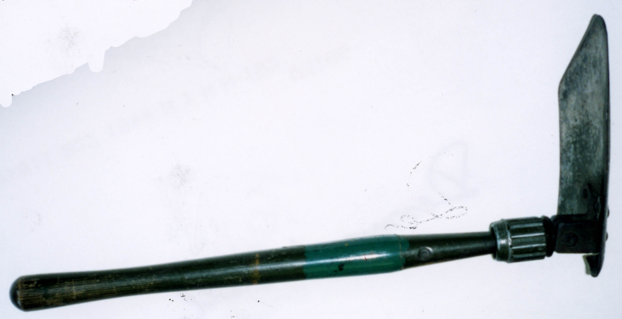 Desmond Kelly (Primary Source) | The Canadian Encyclopedia