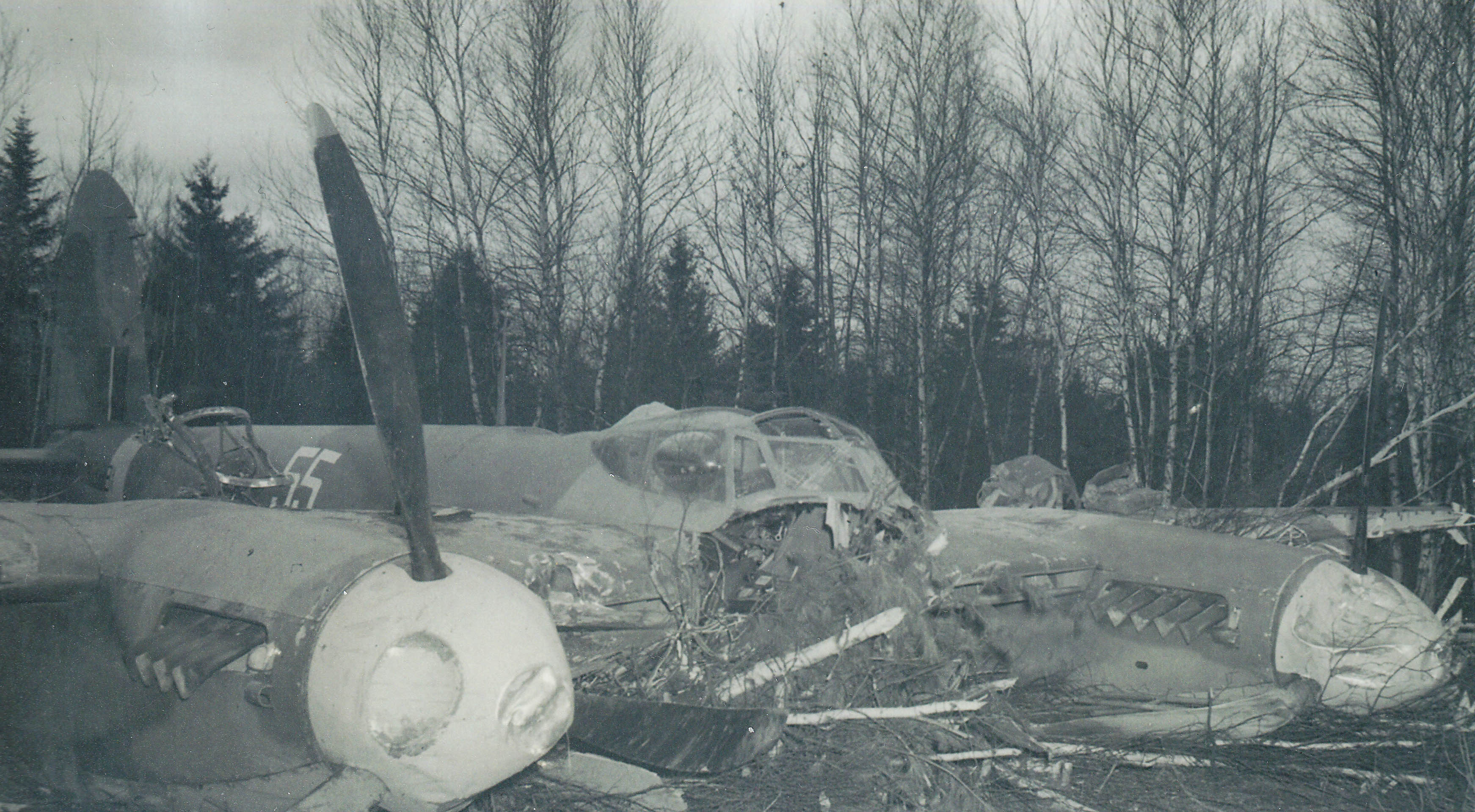 Albert Richard 'Sandy' Sanderson (Primary Source) | The Canadian ...