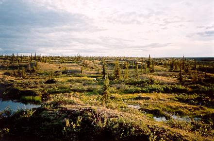 Tuktut Nogait National Park | The Canadian Encyclopedia