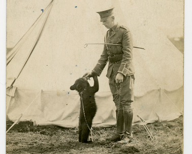 The Real Winnie-the-Pooh | The Canadian Encyclopedia