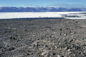 Hans Island | The Canadian Encyclopedia