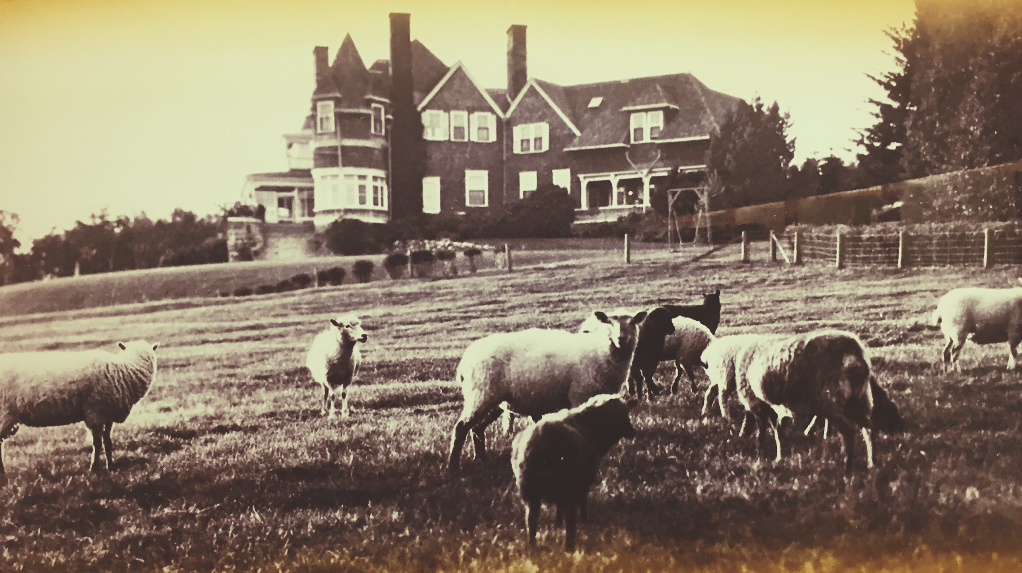 Mabel Hubbard Bell | The Canadian Encyclopedia